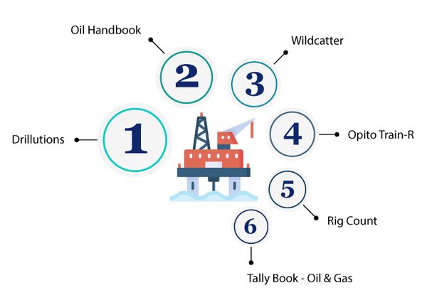 Software Solution and Petroleum Industry: The Digital Solution